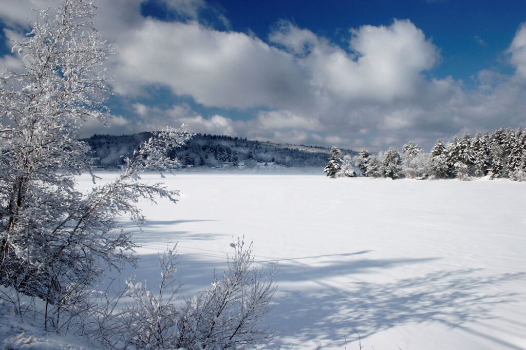 Story Time at the Minot-Sleeper Library, Bristol NH - NH Lakes Region ...