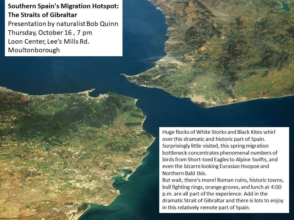 Southern Spain's Migration Hotspot: The Straits of Gibralter ...